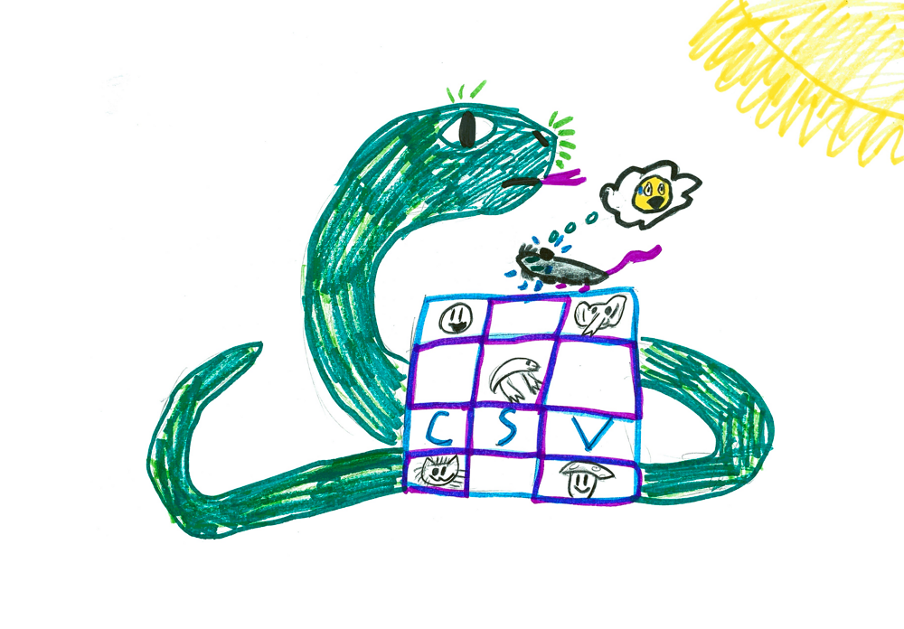 Typesafe Approach To Csv With Python Program Happy 7732